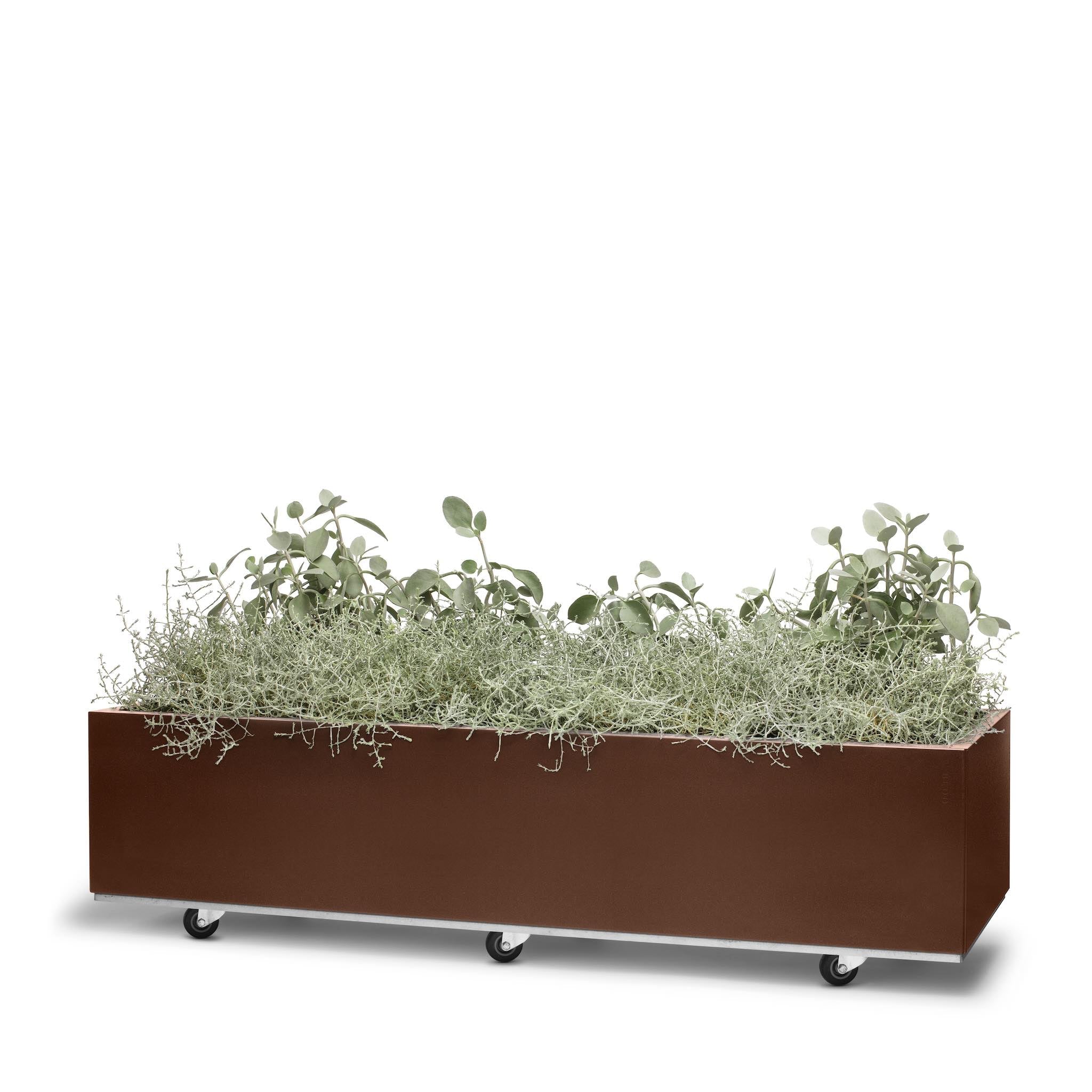 BEDD 120x40 h25 med botten och hjul/ben – BEDD SE