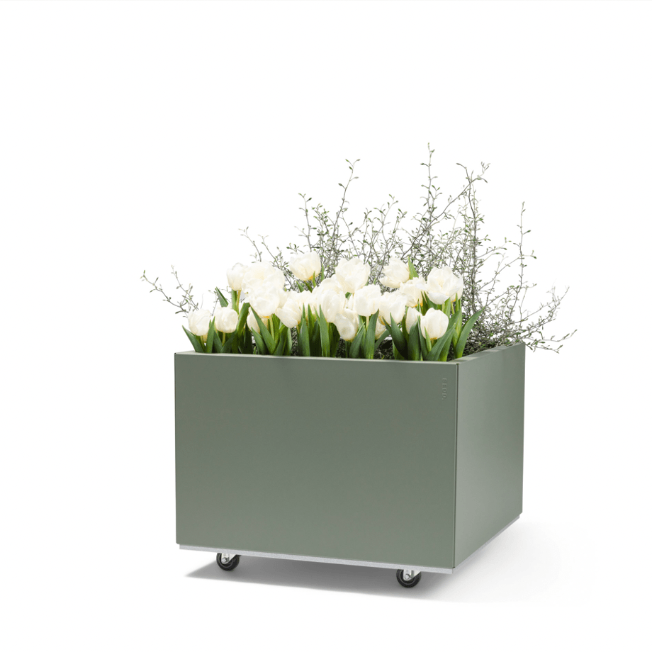 NYHET! BEDD 60x60 h40 LIMITED EDITION – BEDD SE
