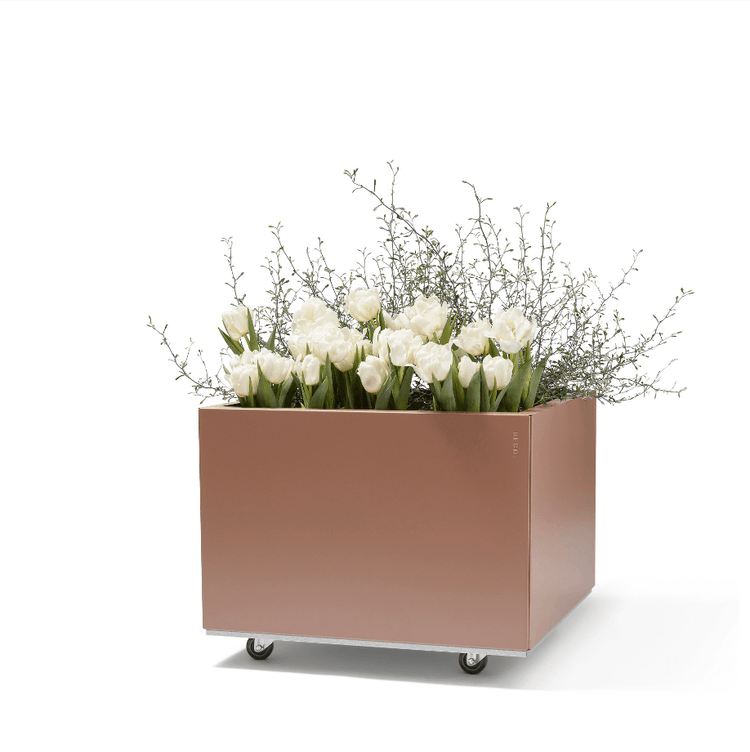 NYHET! BEDD 60x60 h40 LIMITED EDITION – BEDD SE