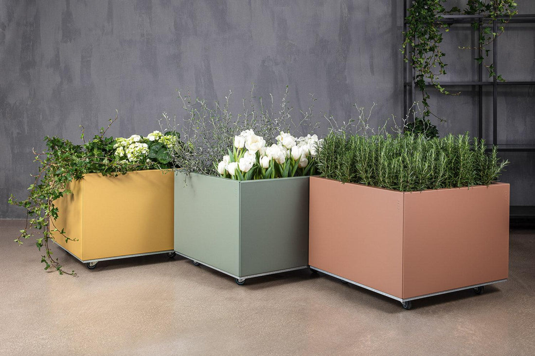 NYHET! BEDD 60x60 h40 LIMITED EDITION – BEDD SE